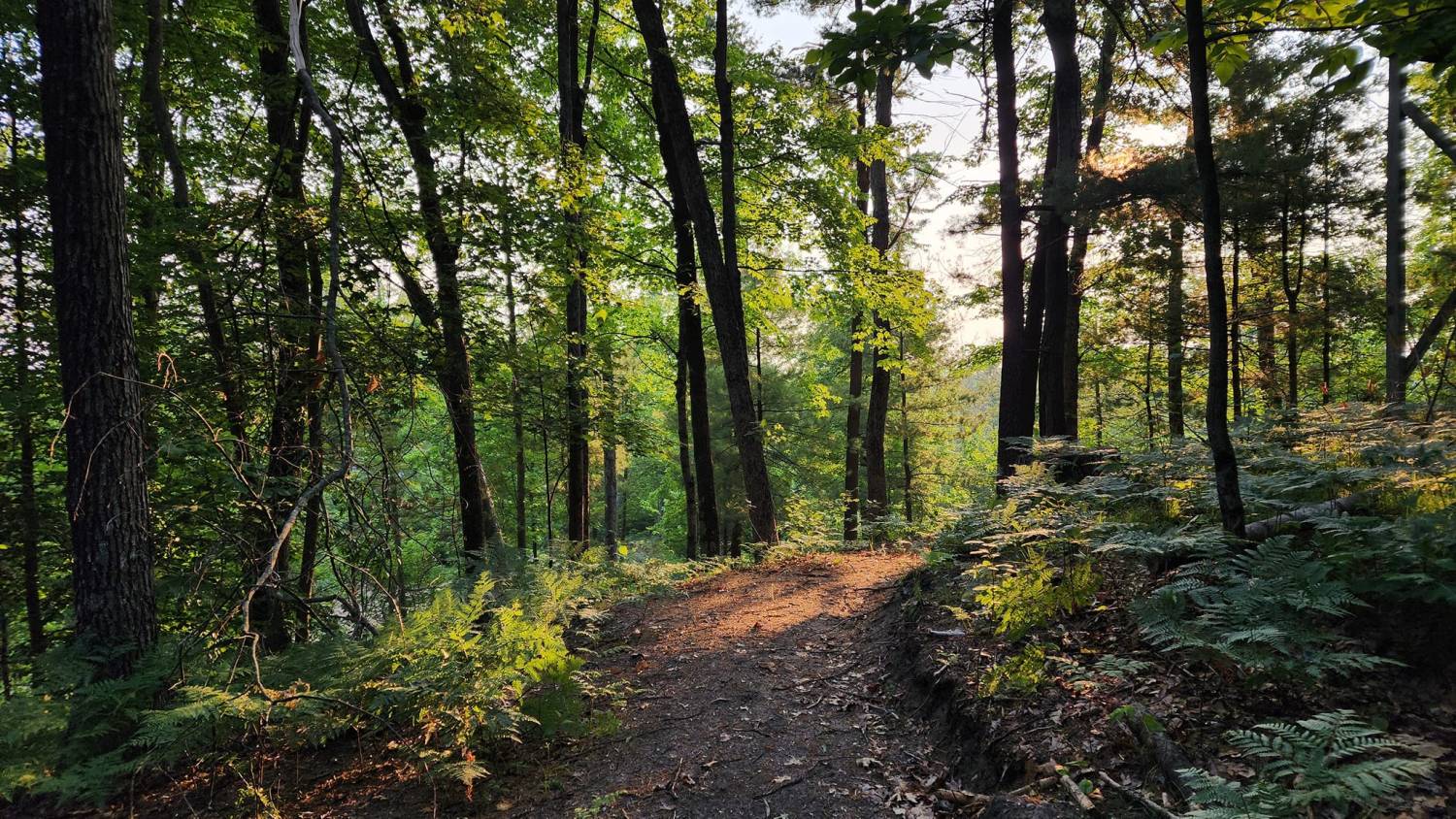 Dragon Adventures Base Camp – 23 Acre Destination for The Dragon Trail ...