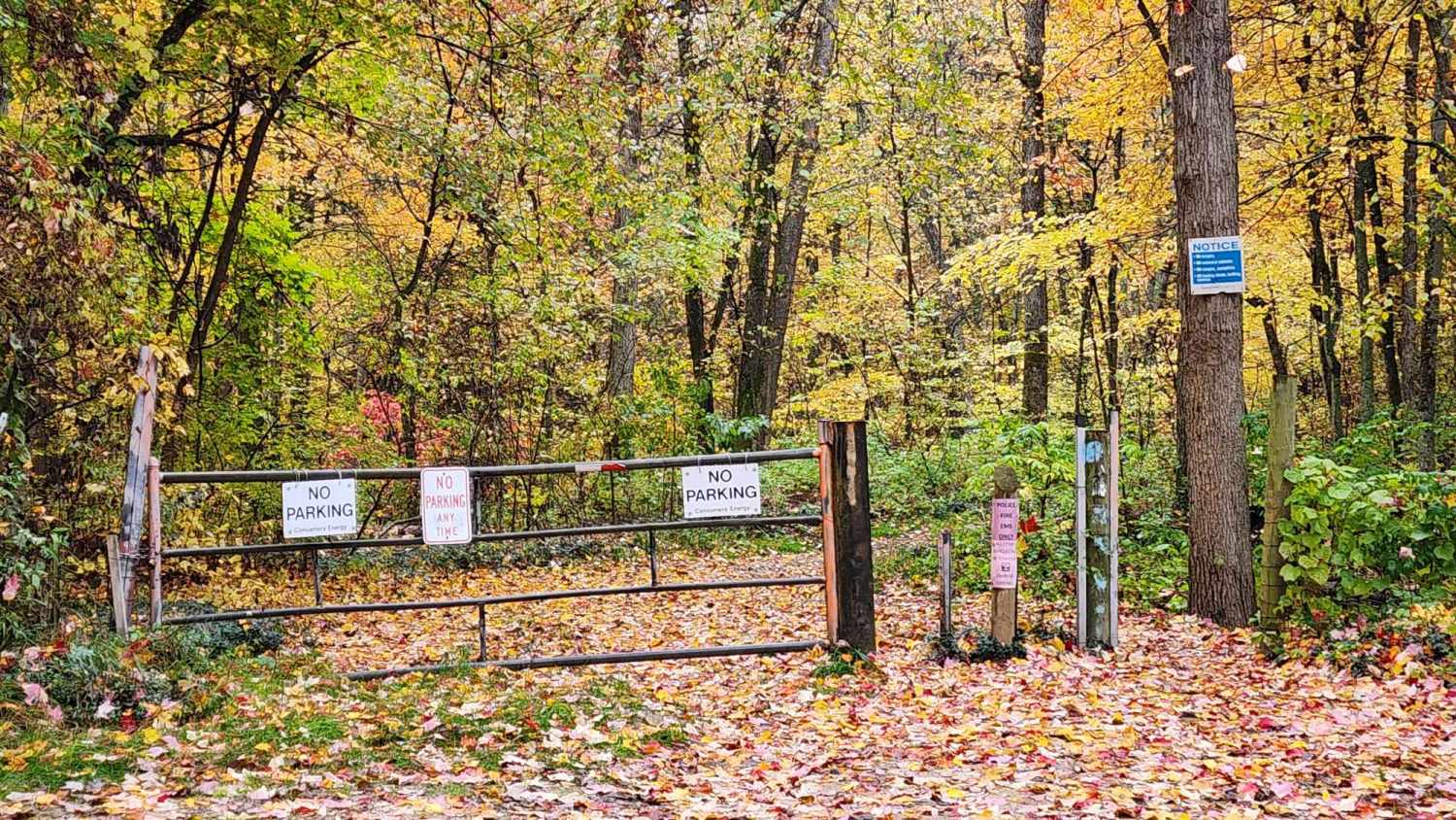 The Dragon Trail – Dragon Adventures Base Camp
