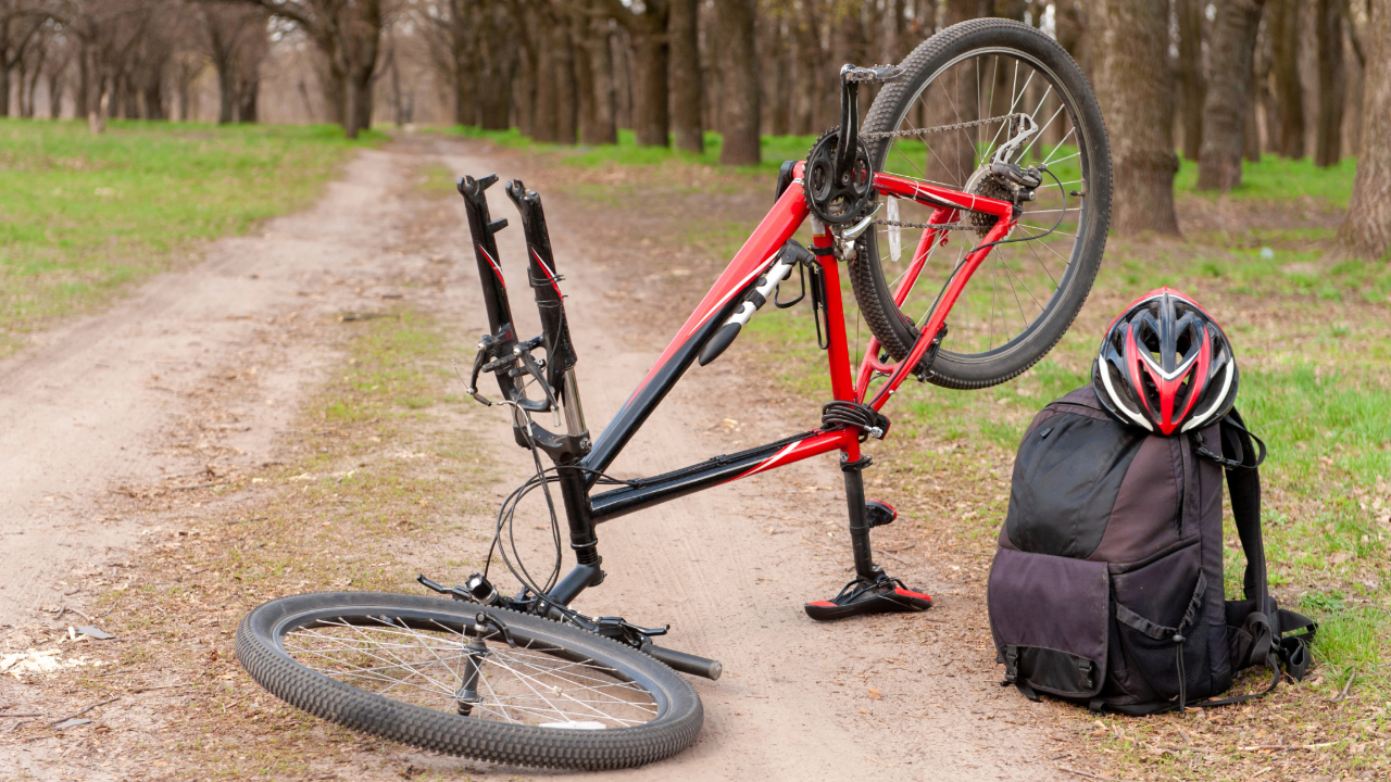 Rescue Shuttle – Dragon Adventures Base Camp